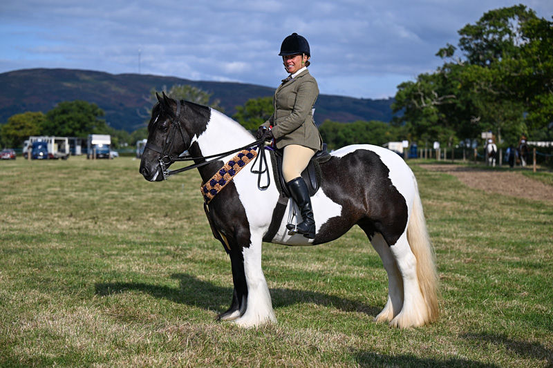 Denbigh & Flint County Show 2025 by EquinePix Photography