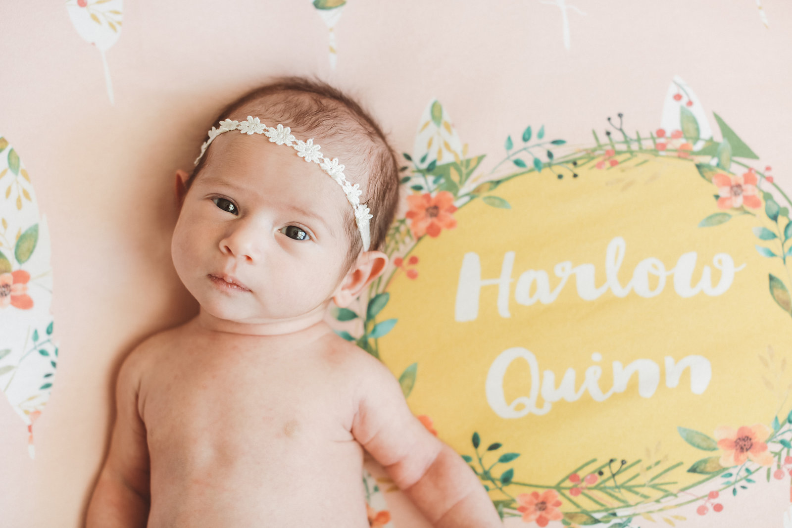 Baby Harlow by Shutterfreek