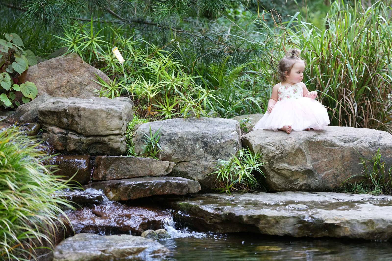 Finigan by Strauss Studios