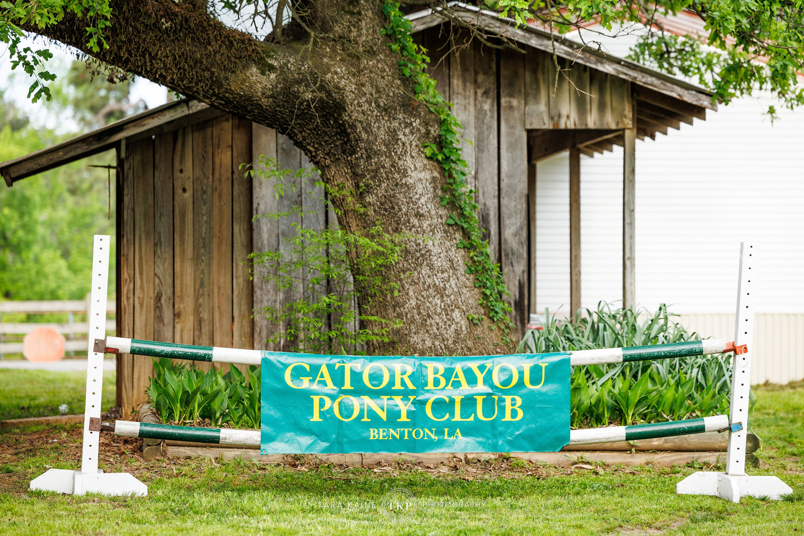 Gator Bayou Pony Club Vendor by Tara Kaine Photography