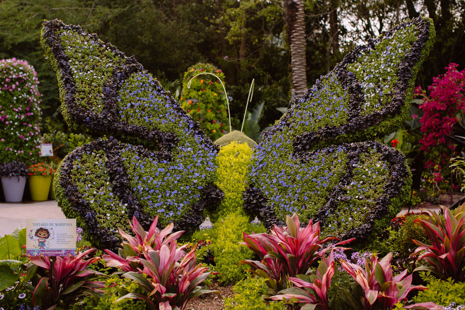 The Spark Design Series by Kate Neal Photography