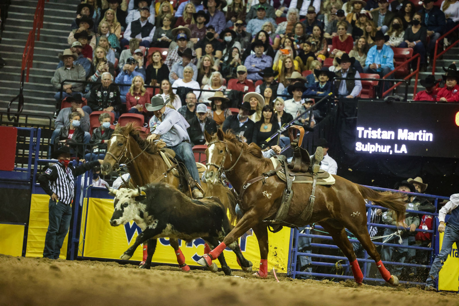 NFR Steer Wrestling by Roseanna Sales Photography