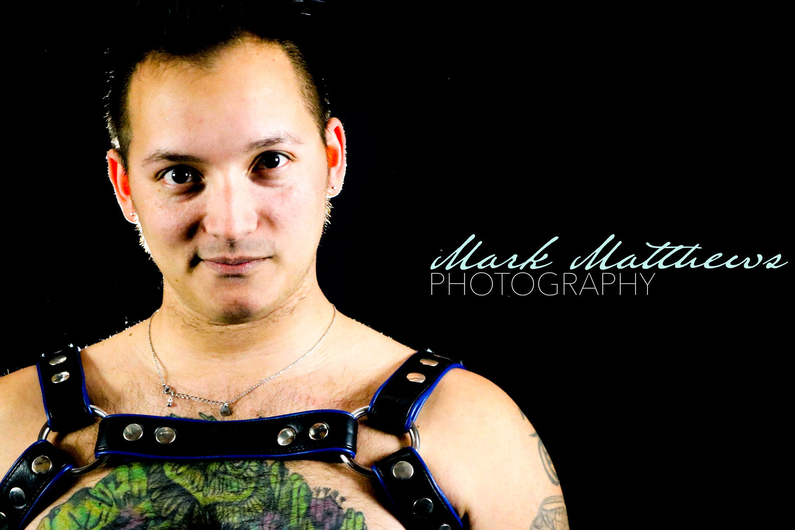 Owl by Mark Matthews Photography - www.TheMMPhoto.com