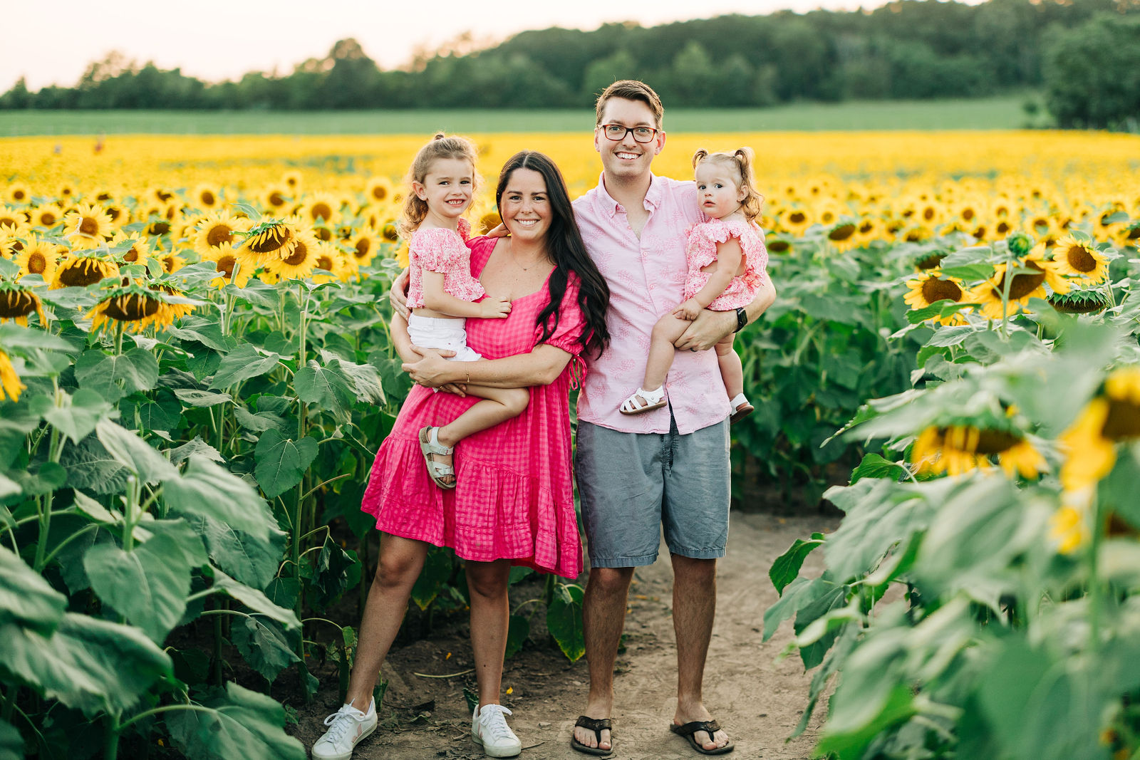 Sunflower Farm by Nathan Crossland Photography