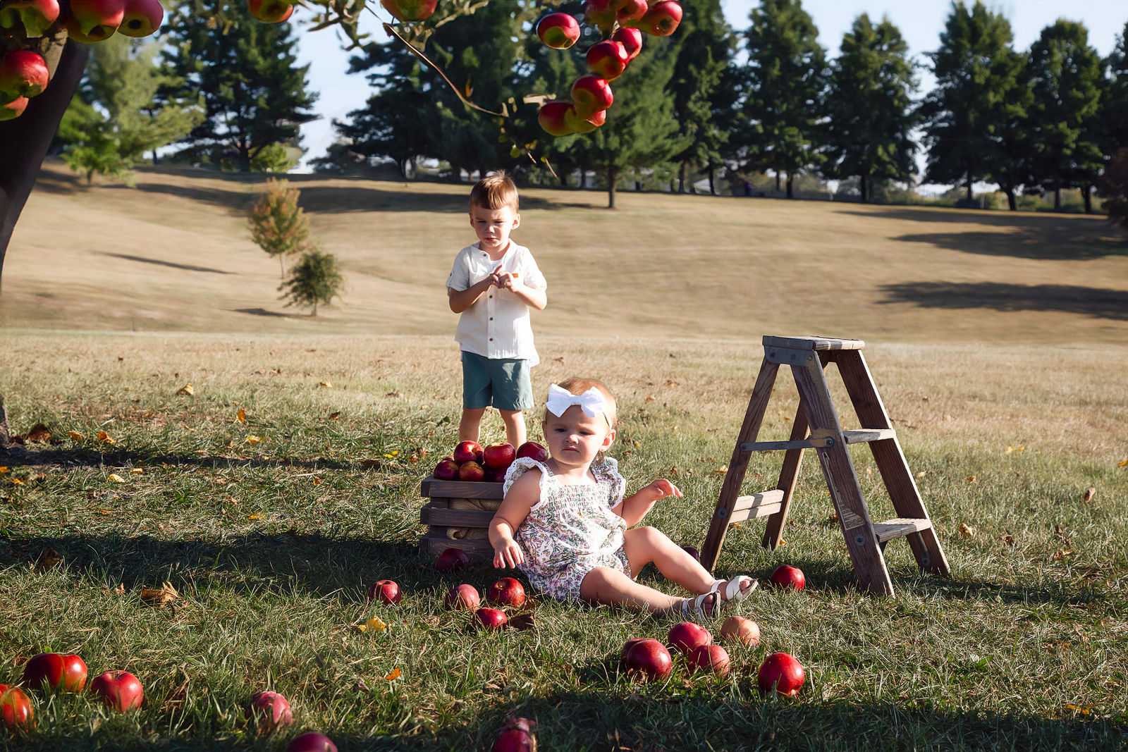 Apple Picking time! by Browning Photography