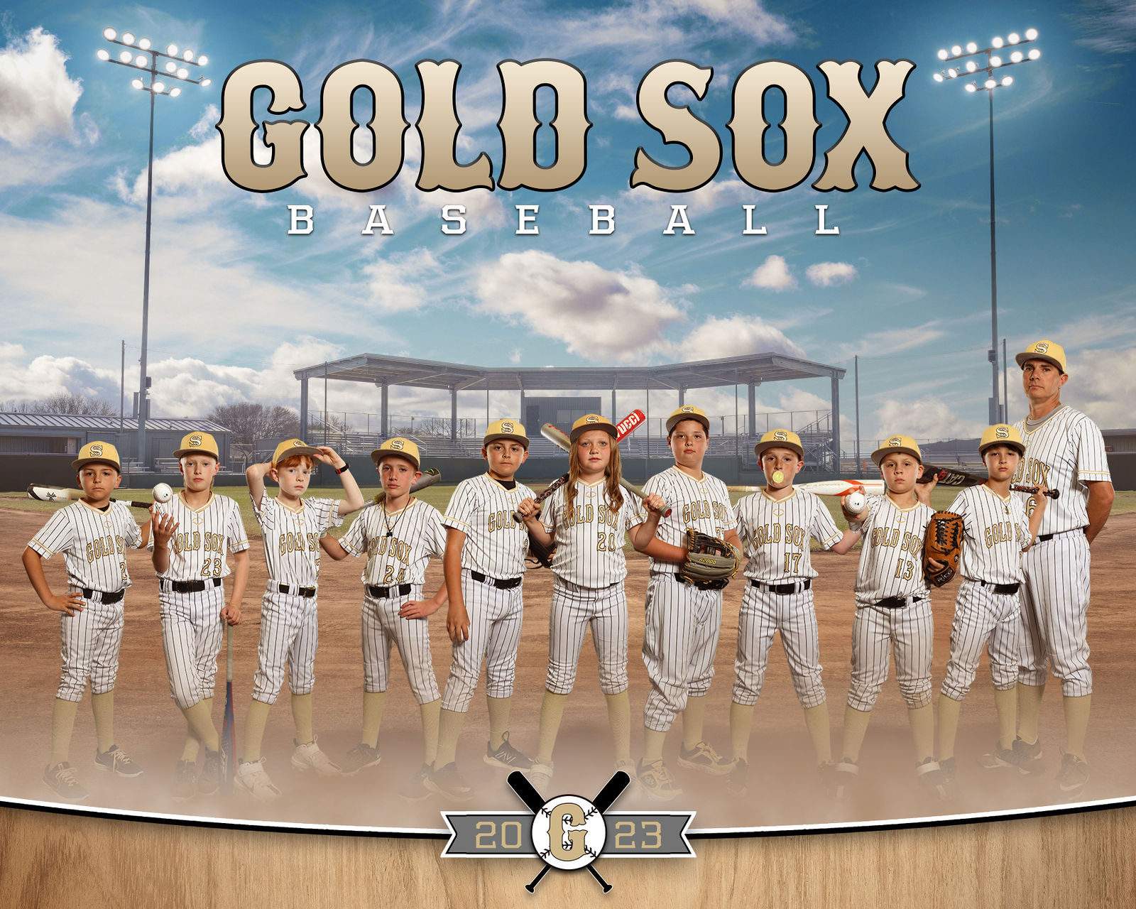 Gold Sox Baseball by Love Your Smile Photography