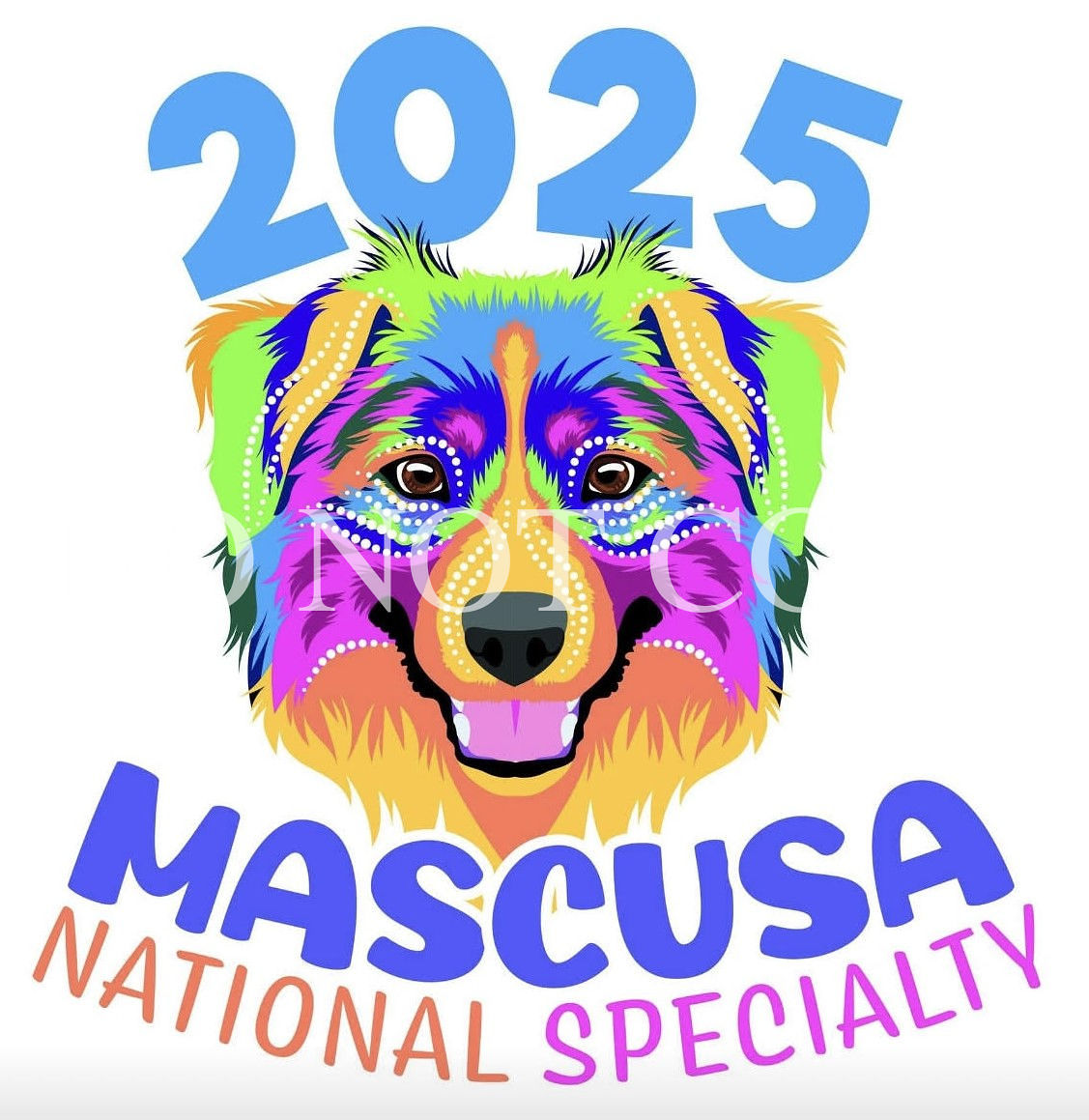 2025 MASCUSA Agility by Aaron Gold Photo