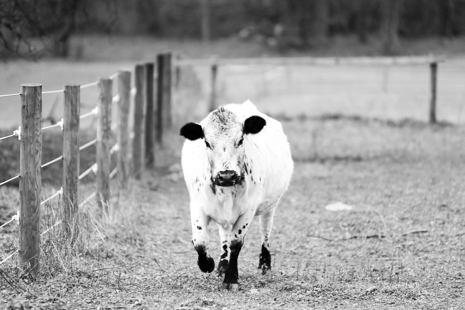 ARP SHOP by Ashley Reherman Photography