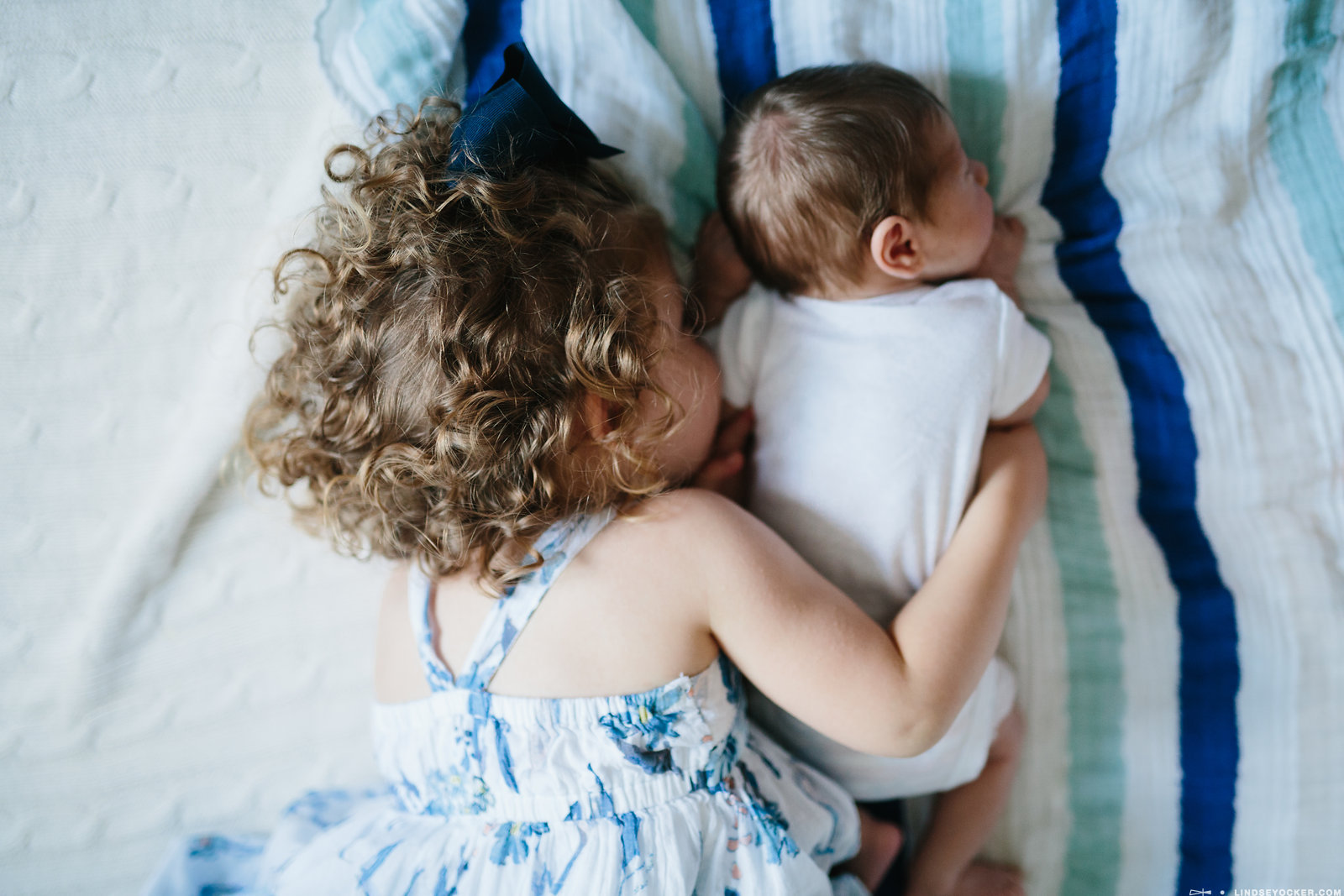 Weston by Lindsey Ocker