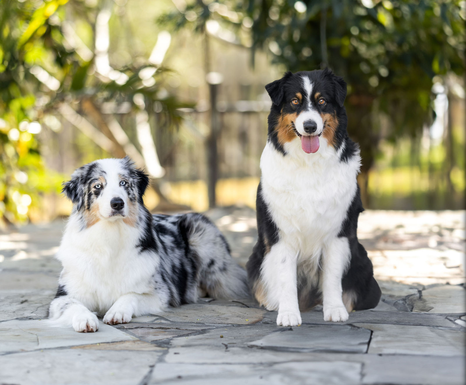 Ochaye by B&M Photography