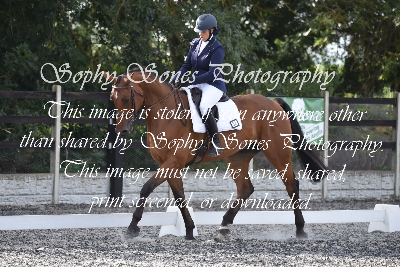 Dressage at Grey Fern Park by Sophy Sones Photography
