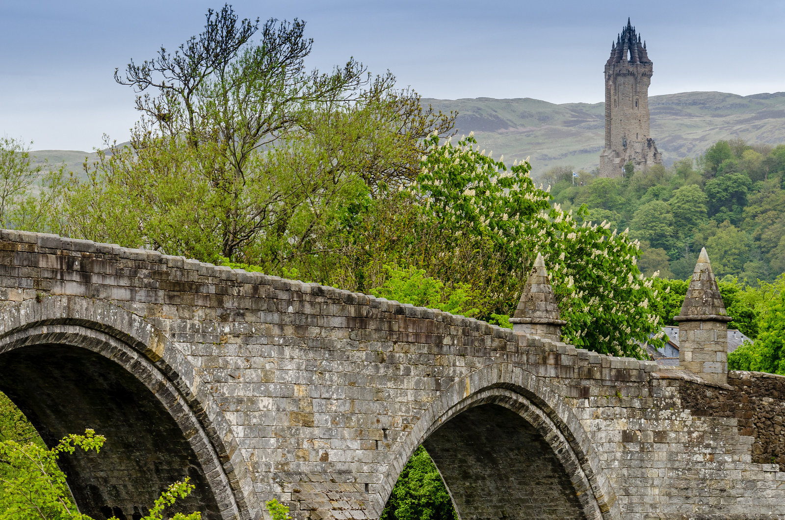 Stirling Bridge by Scotland by Day and Night