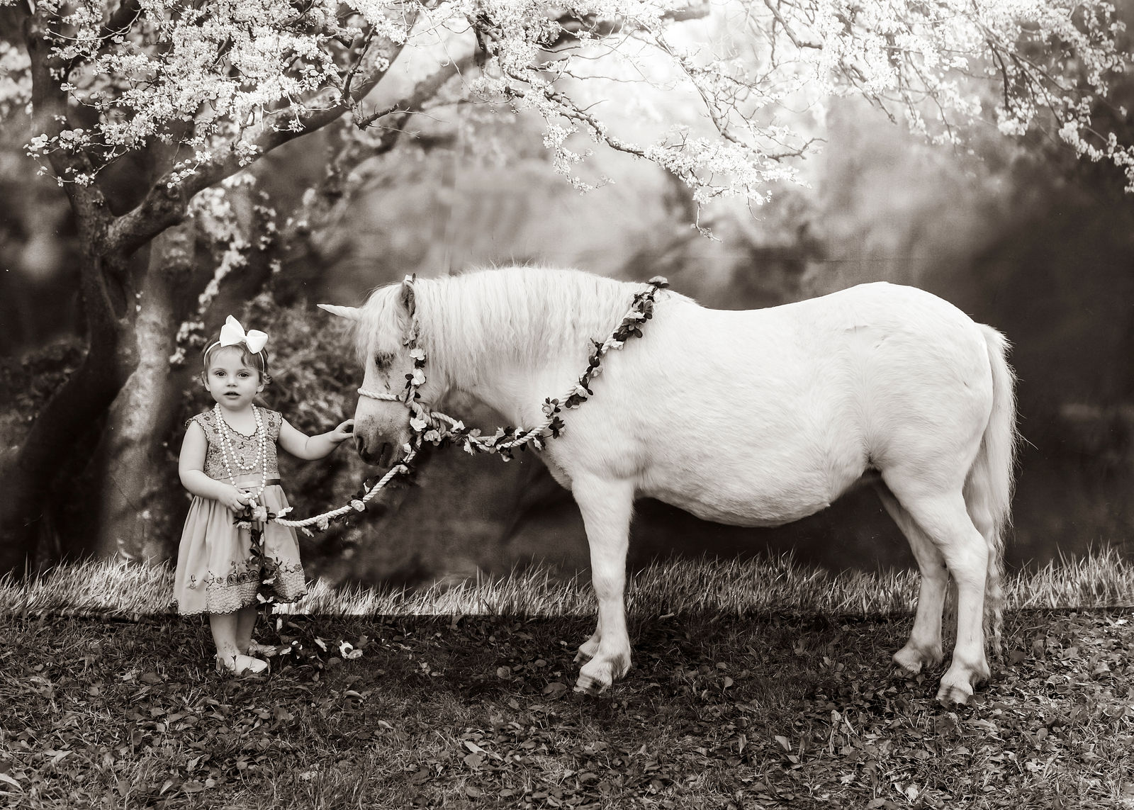 Unicorn Day-Rylee by Dream Capture Photography by Krista Ungerecht