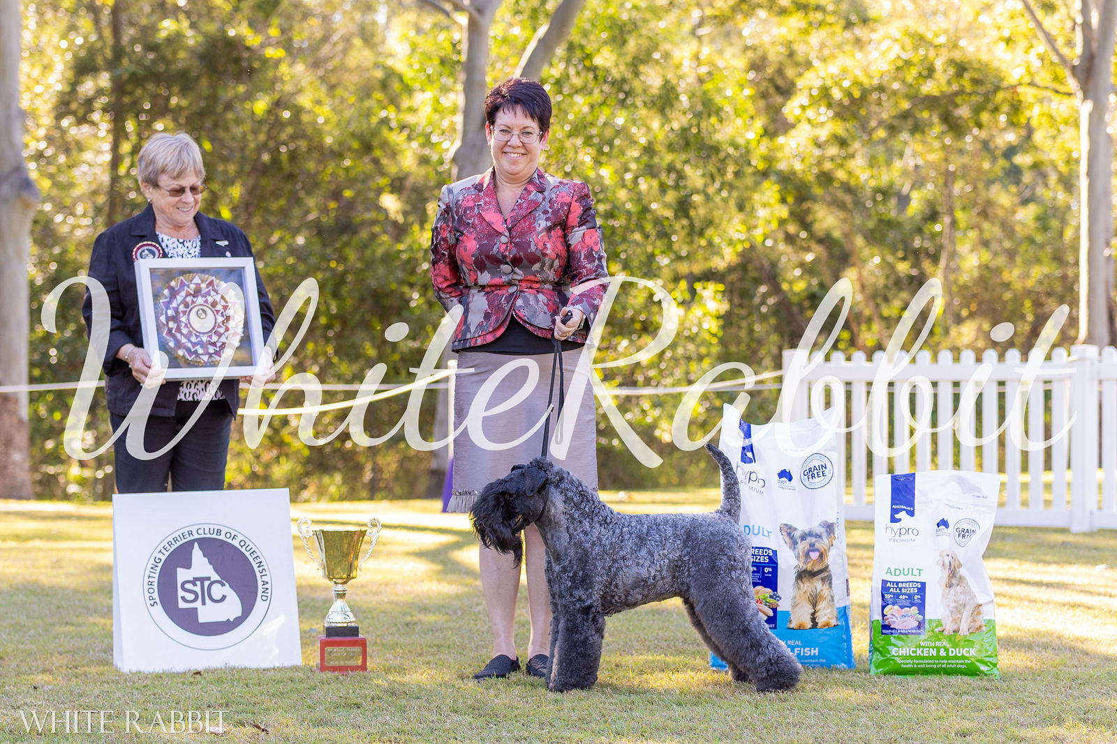 Sporting Terrier Specialty - 2025 by White Rabbit Photography