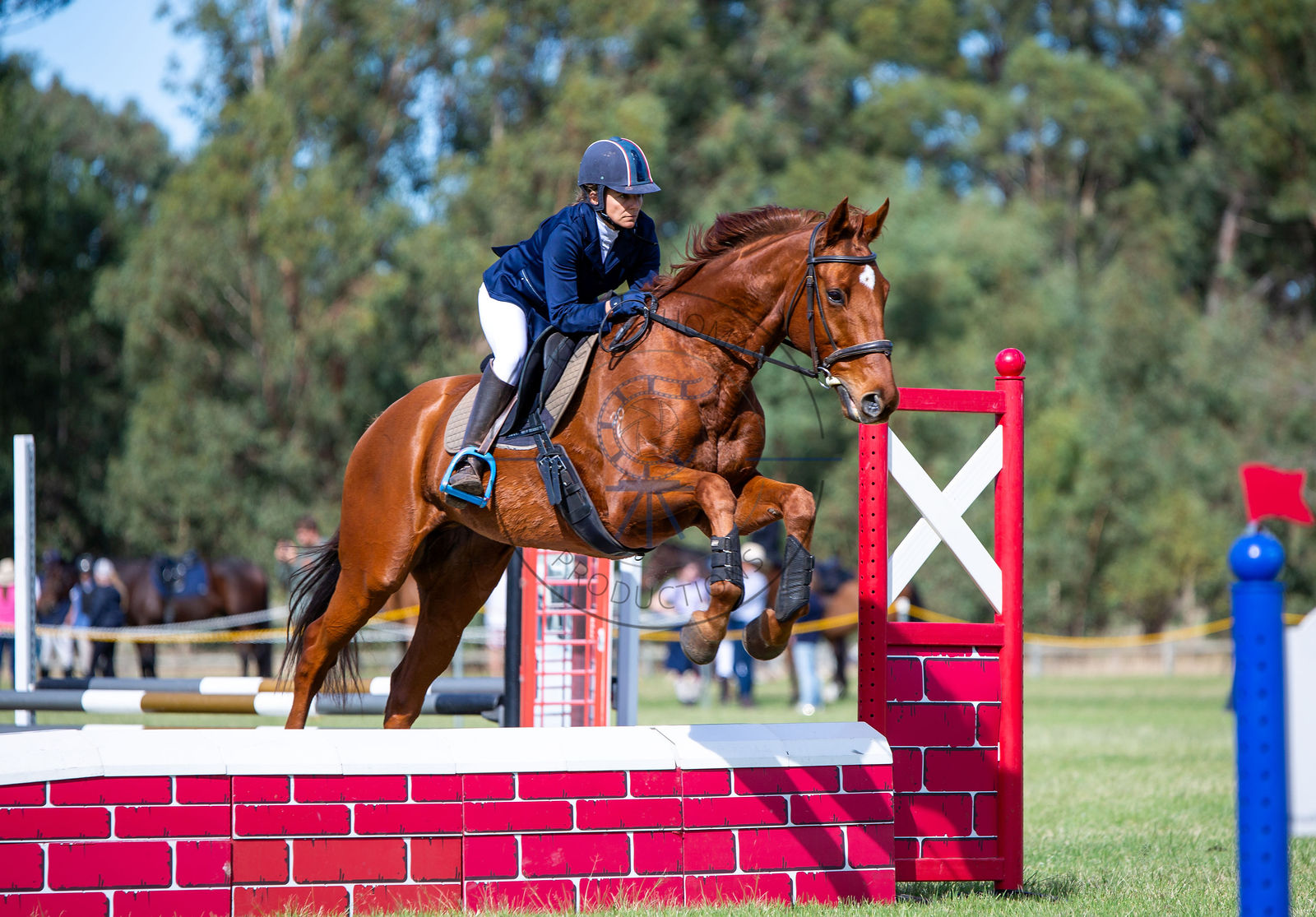 WASJA Show Jumping by Kelly Thomas Productions