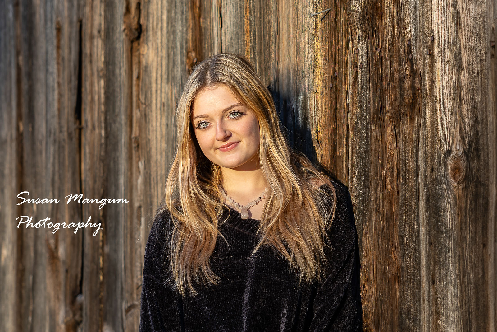 Pricing & Portfolio by Susan Mangum Photography LLC