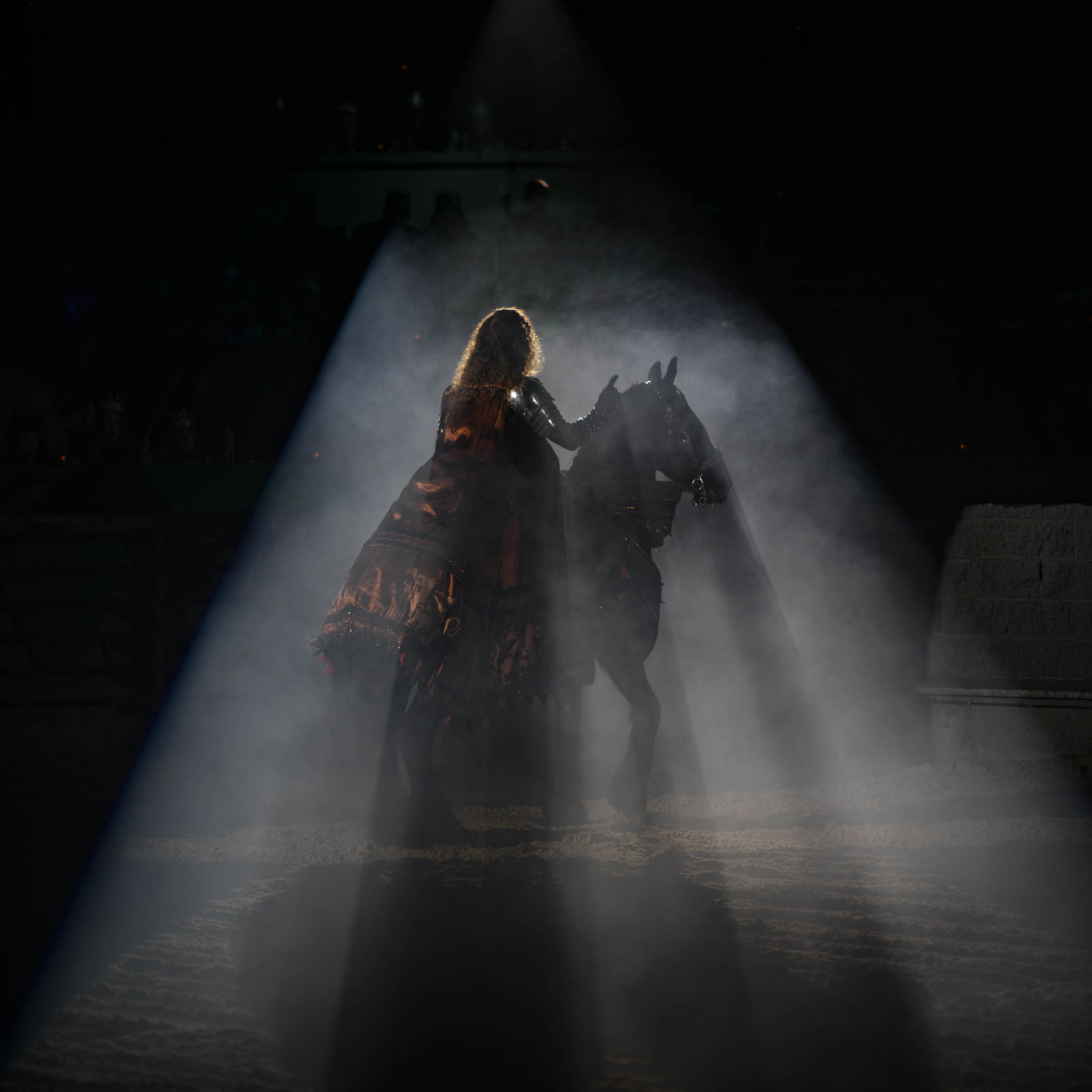 Medieval Times by Love Your Smile Photography