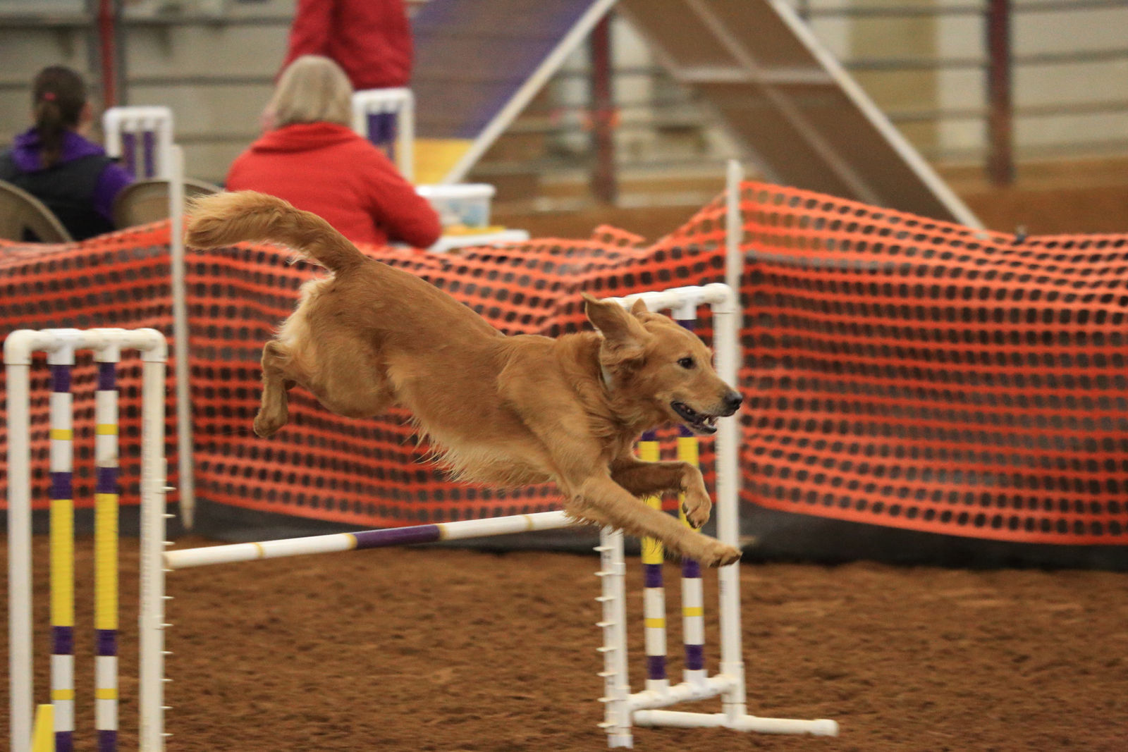 February 12, 2024 DenTex Trials by R.A.D Photos