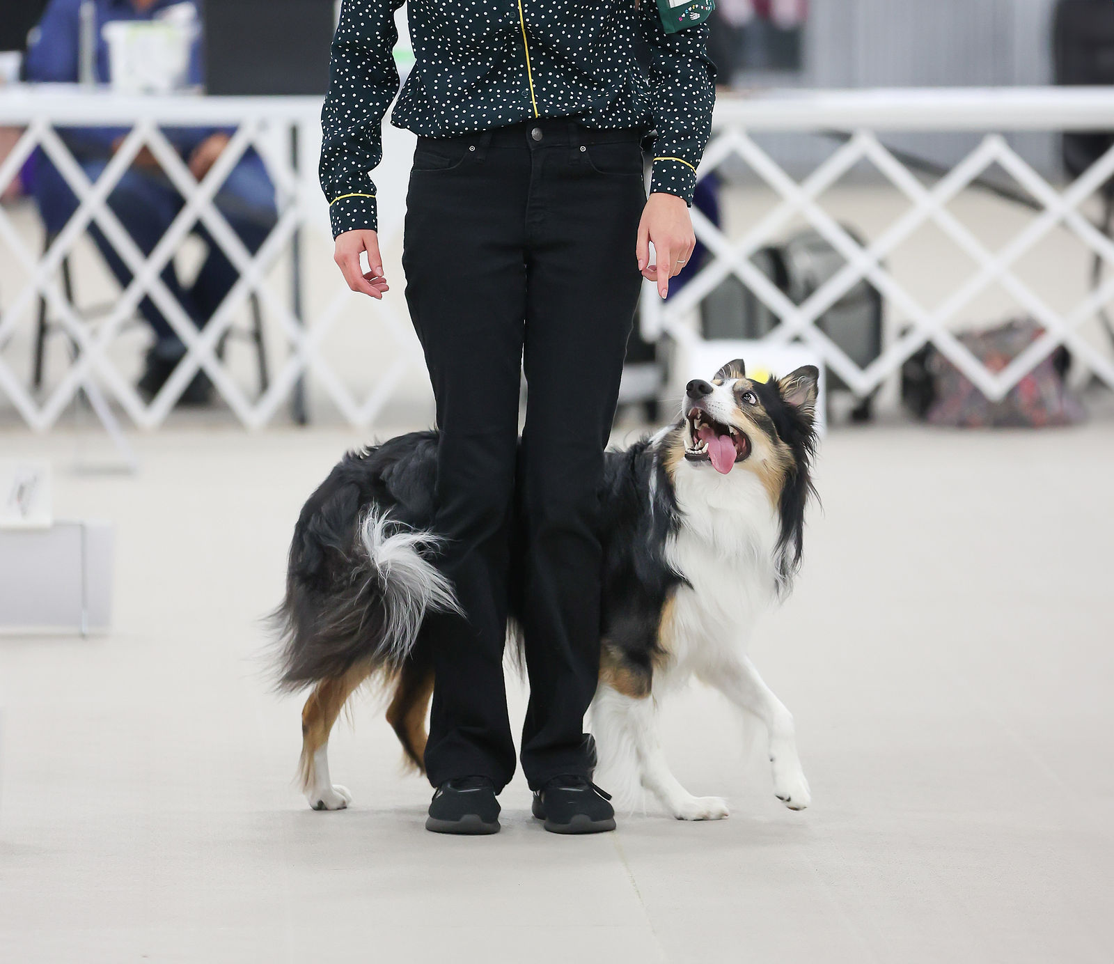 Events - Wander into Focus