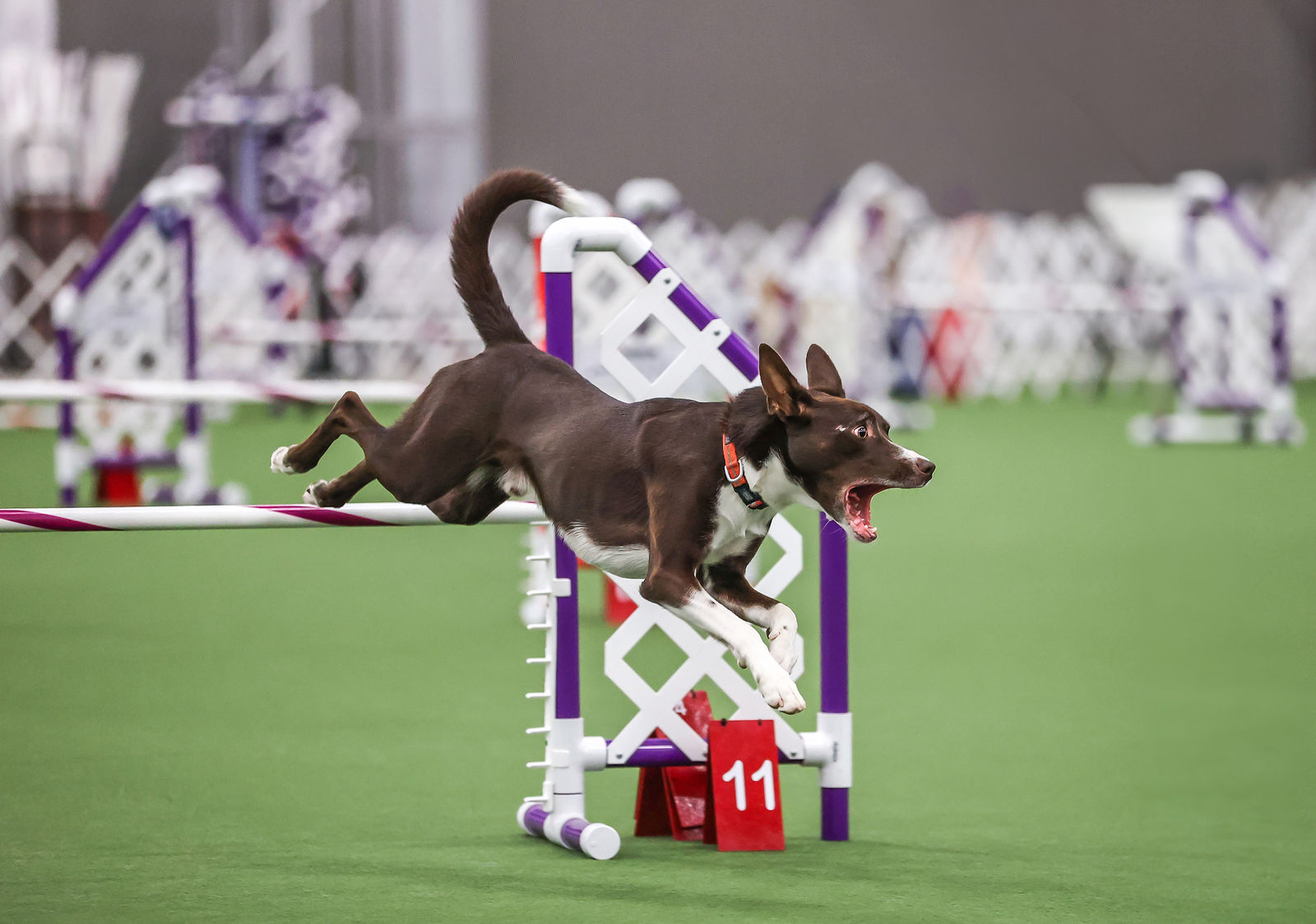 Events - Wander into Focus