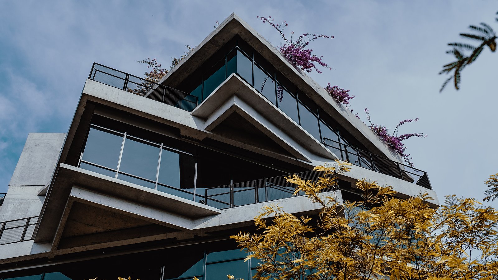 Tamarind Square by All Is Amazing