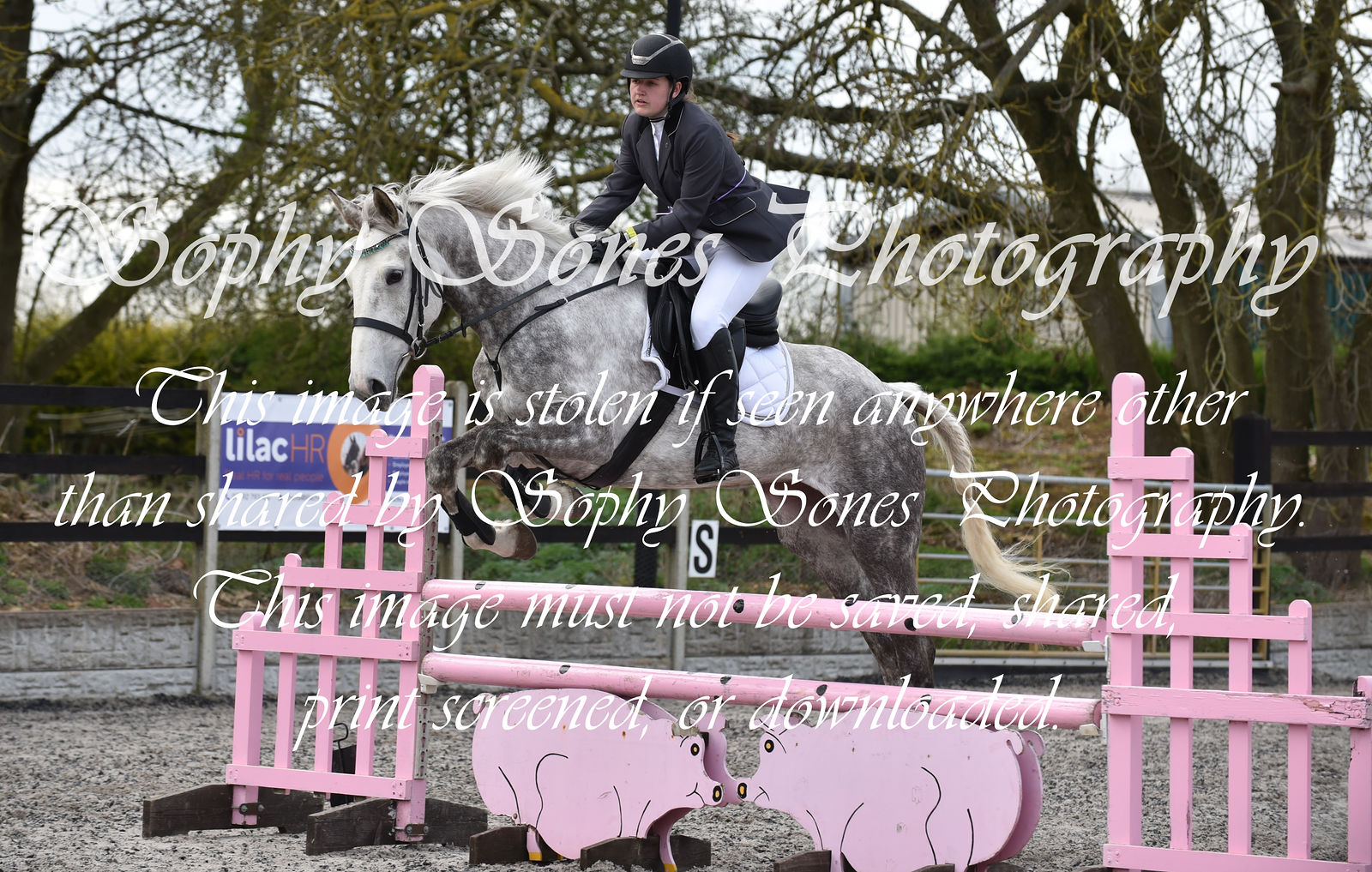 Show Jumping at Grey Fern Park by Sophy Sones Photography