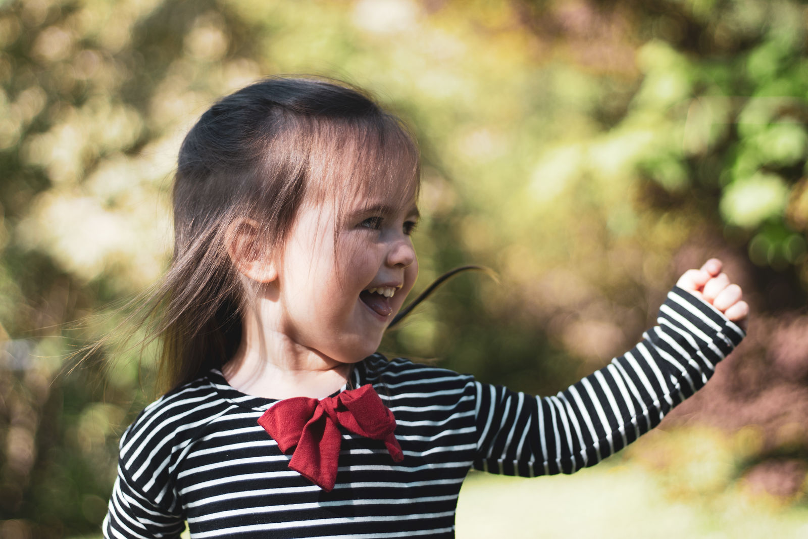 Brooklyn by Honee Bee Media