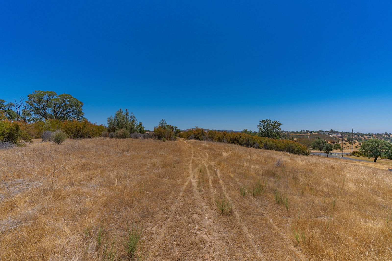 Meadow Oaks Drive Lot by Amador Photo