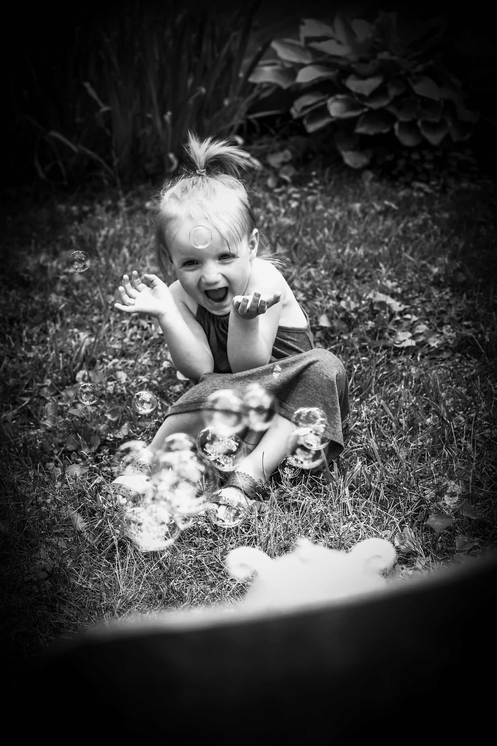 Alft by Jenni Jane Photography LLC