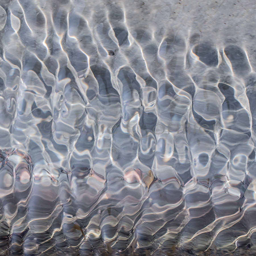 Cartes de souhaits de Julie Cormier | Artiste photographe