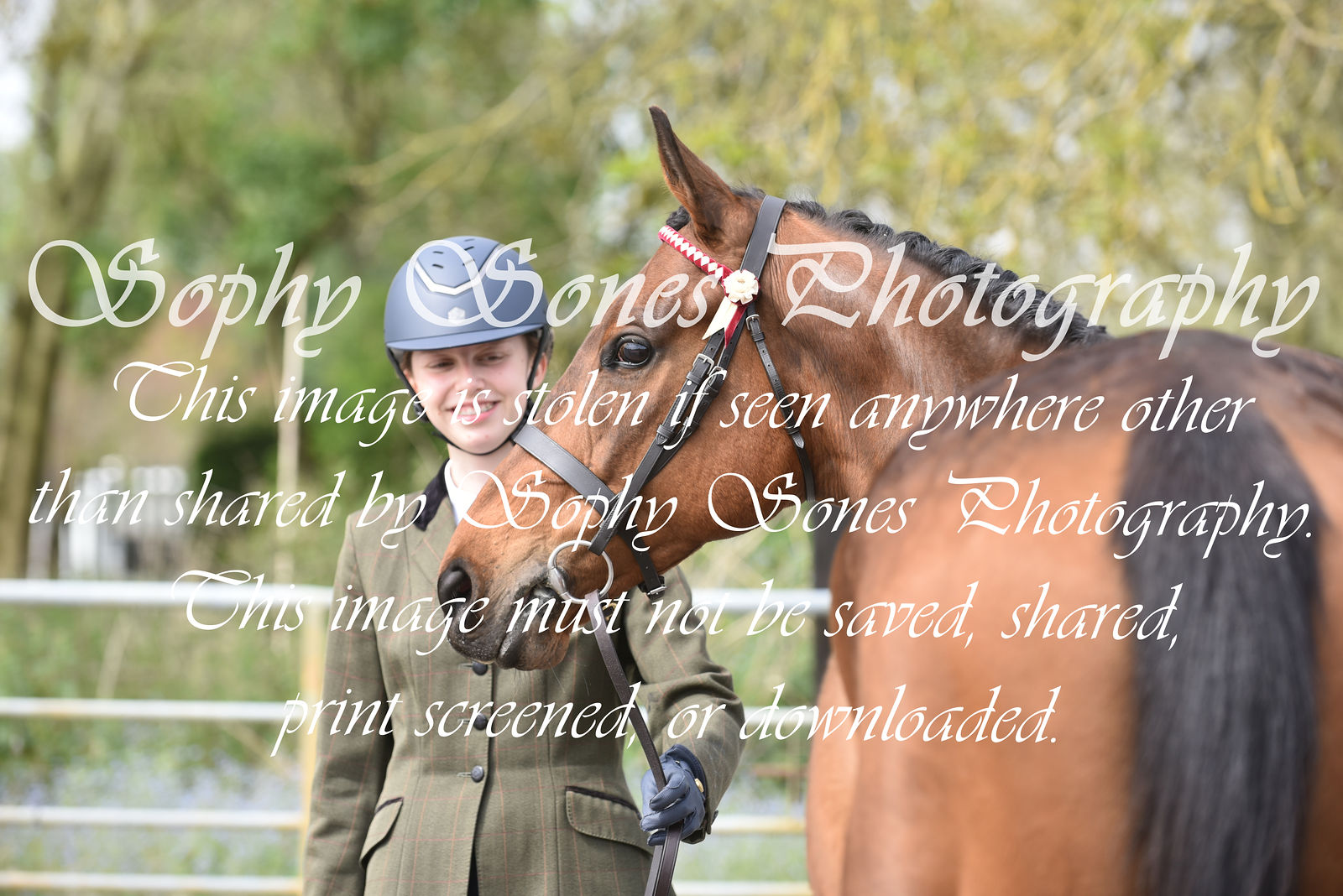 Showing Clinic at Grey Fern Park by Sophy Sones Photography