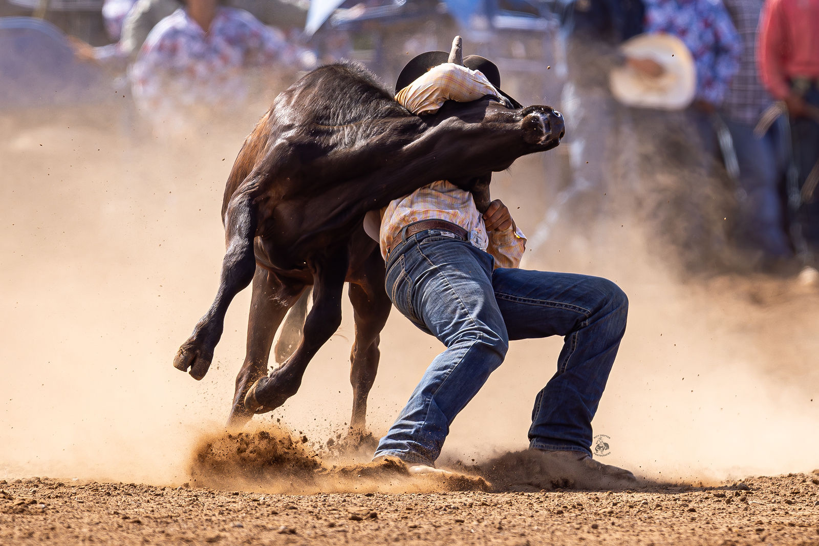 (Sat) Makawao Stampede Rodeo, Makawao HI by Matt Treptow Photography