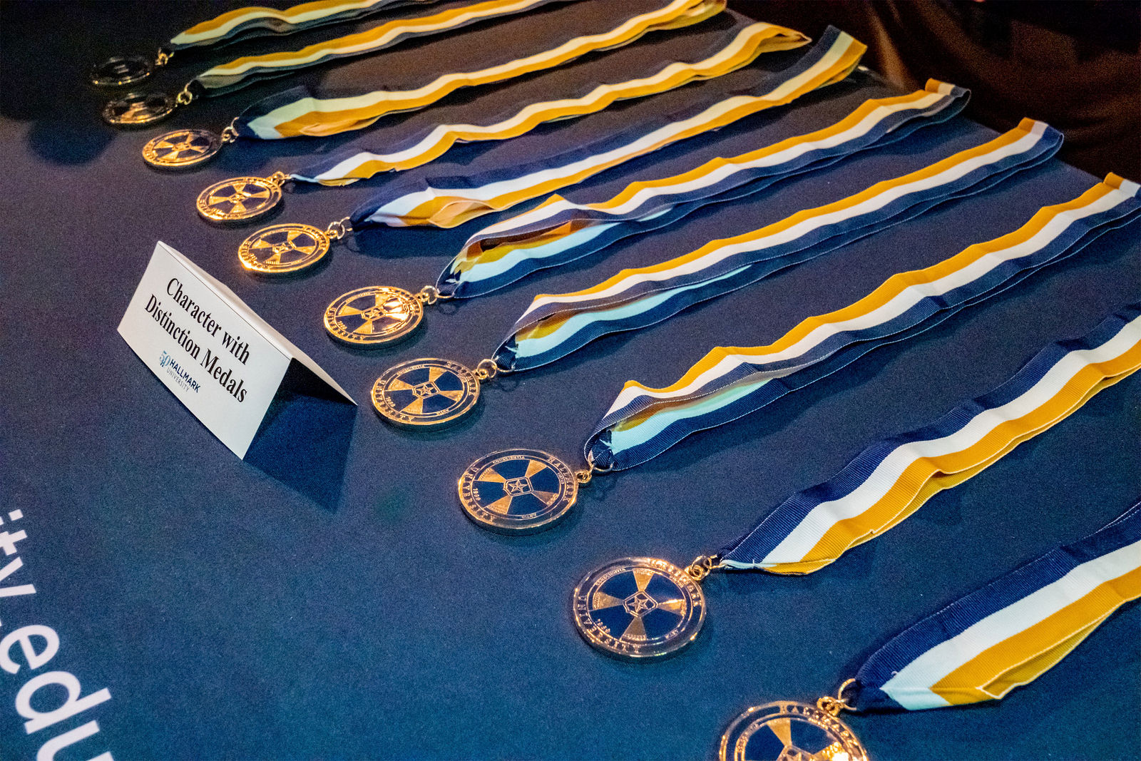 HALLMARK UNIVERSITY GRADUATION MAY 2019 by Gonzalo @ Seize the Moment ...