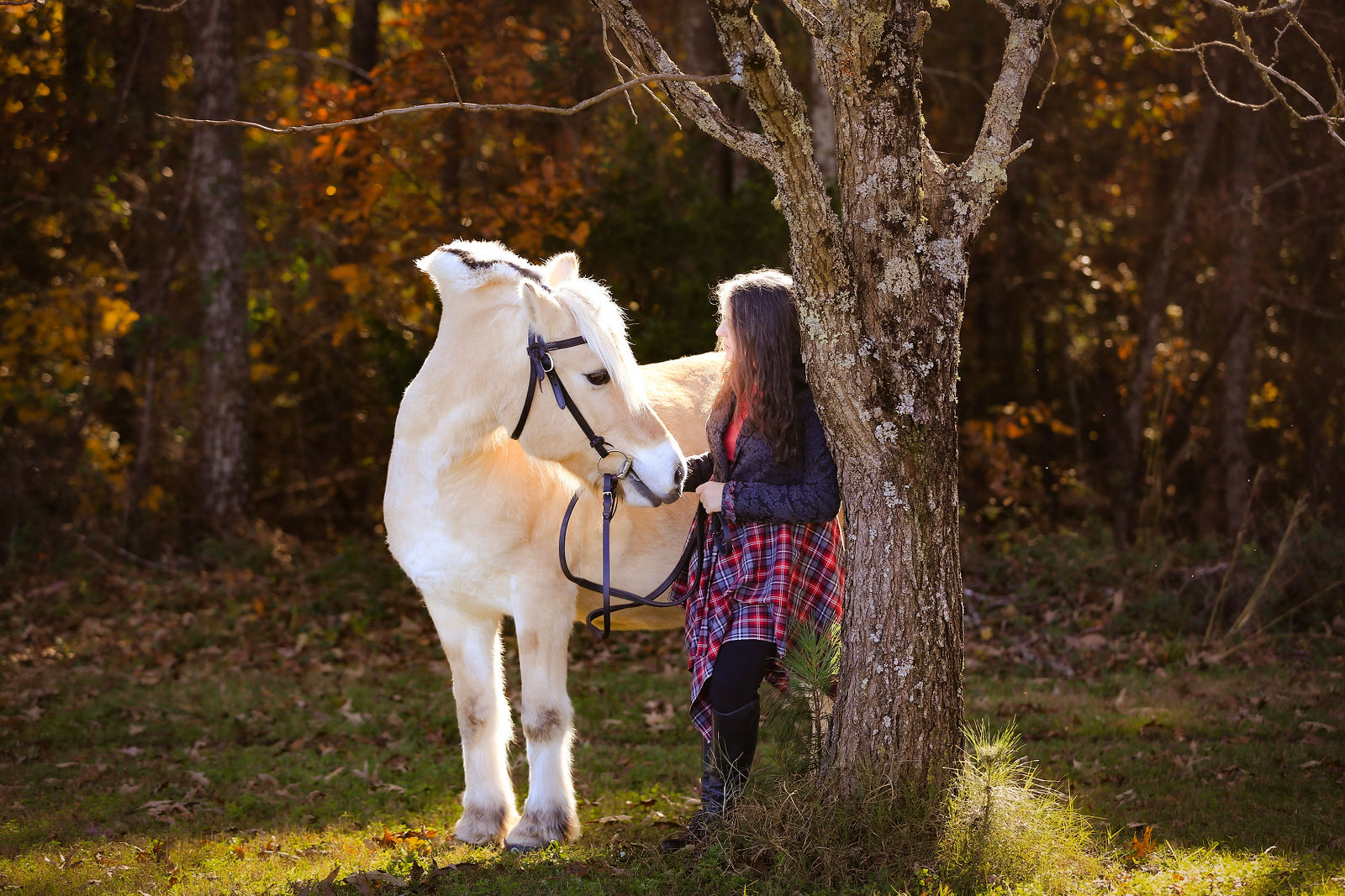 Kirsten Photoshoot At Oxford Manor Farm by Mane Frame Studio