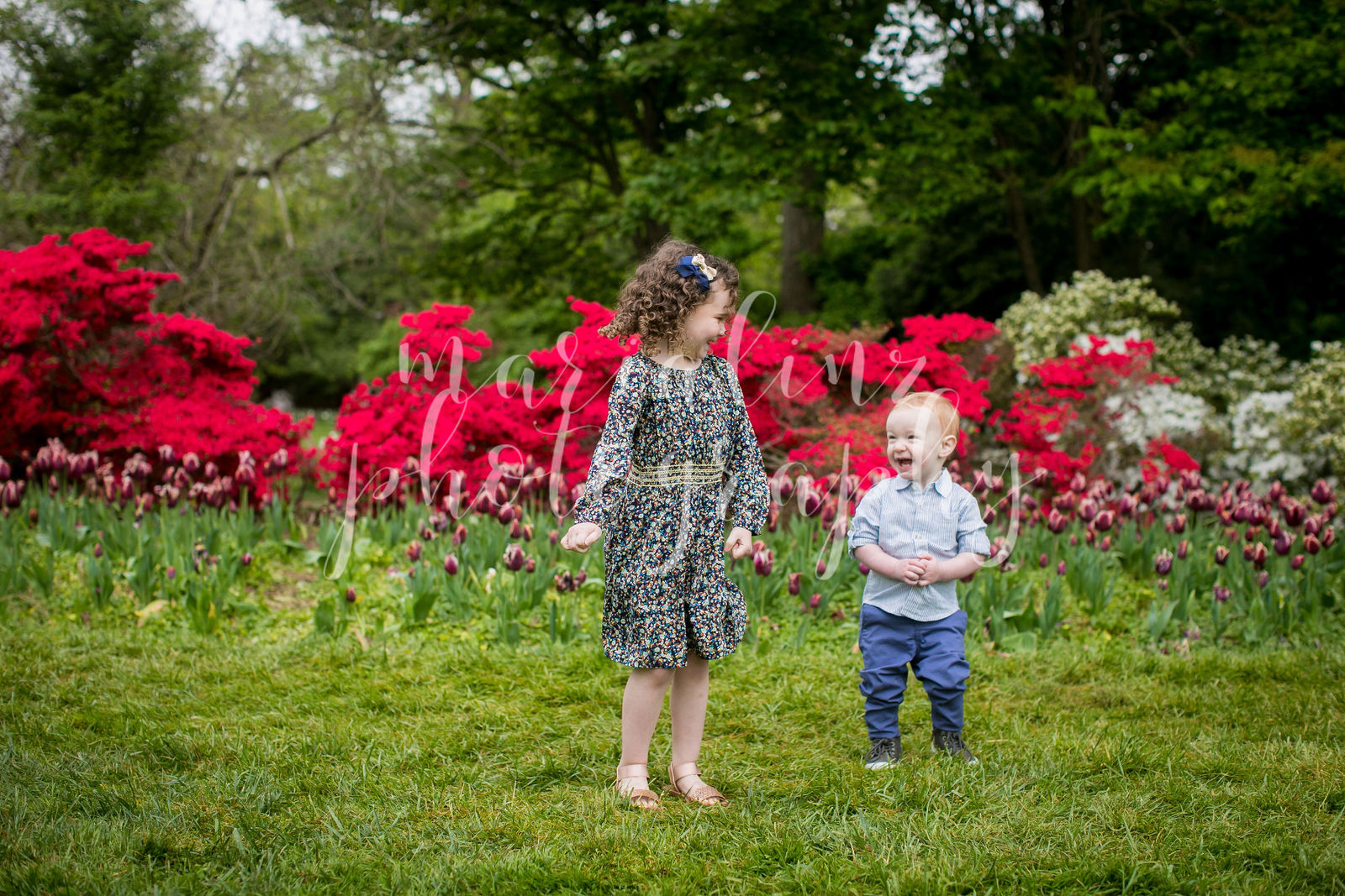 Halstead Family by Maria Linz Photography