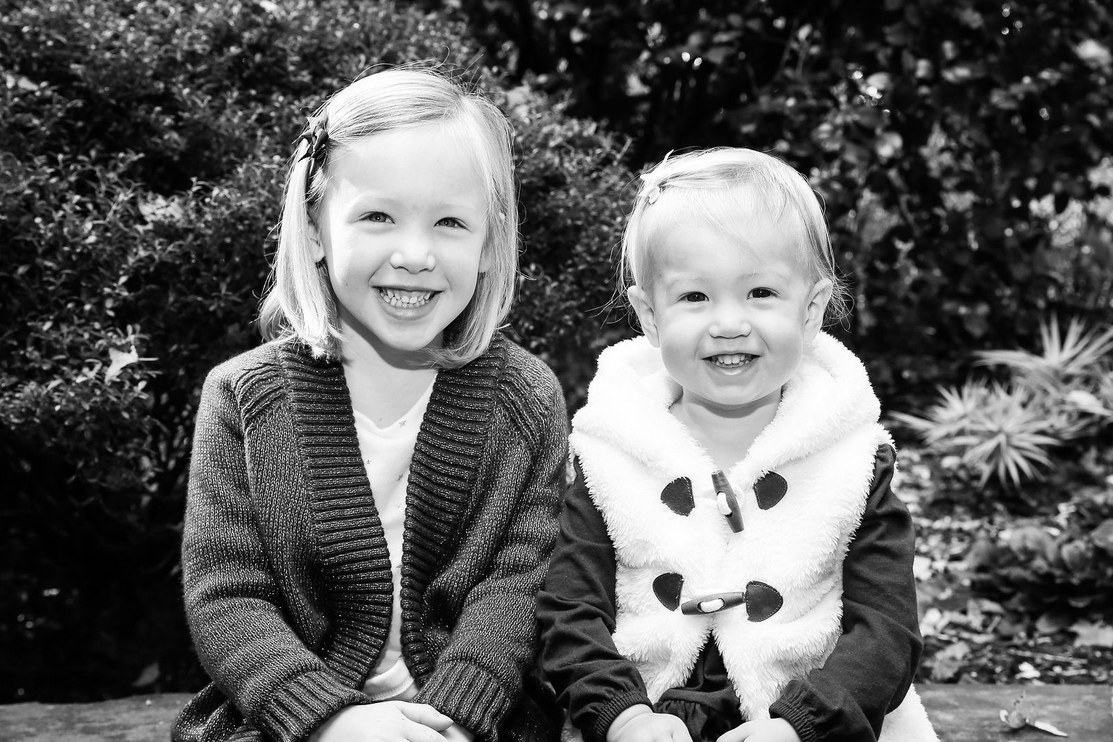 Bright Family by Strauss Studios