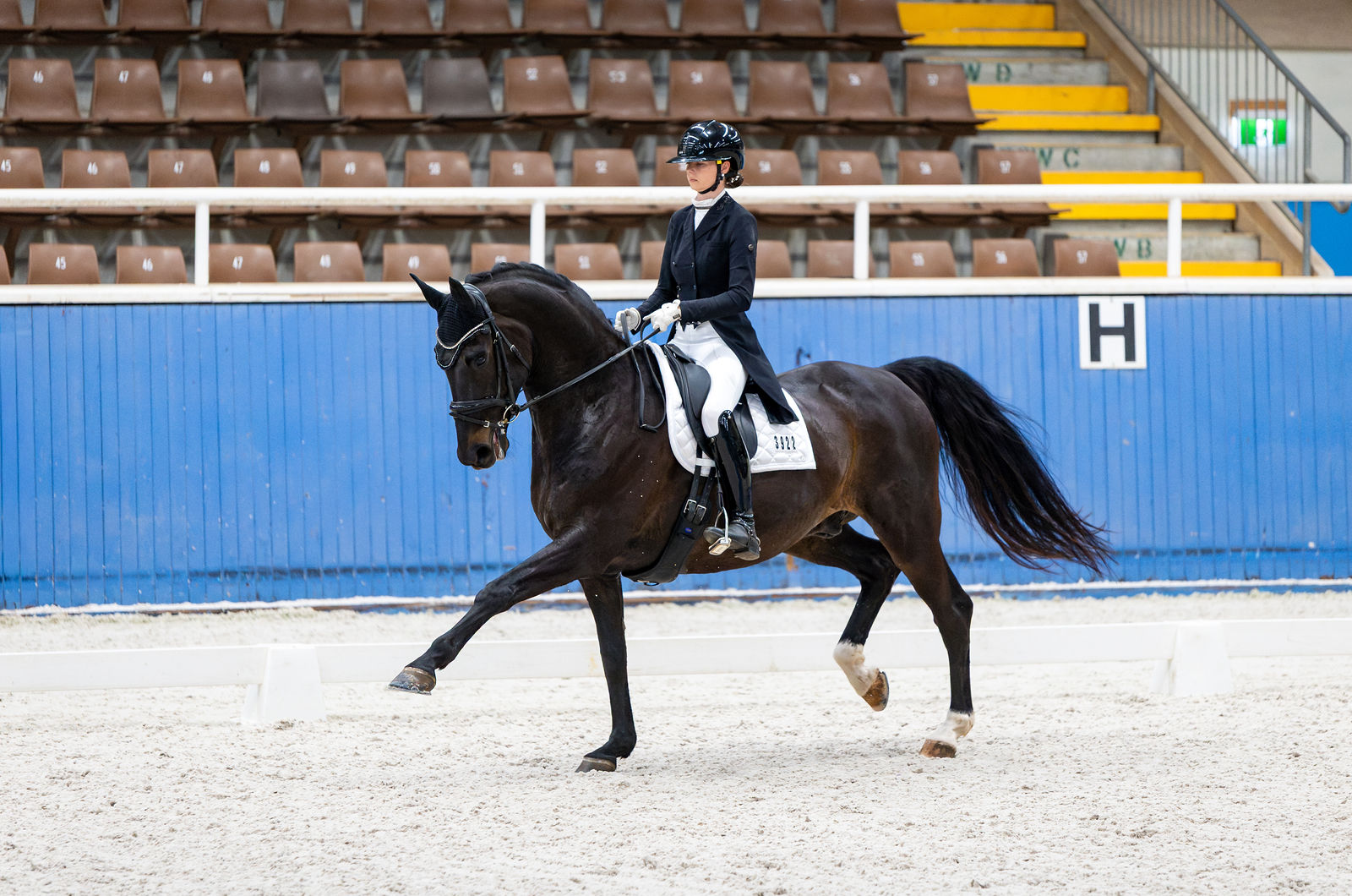 2025 Swan River Dressage Series Final by Kelly Thomas Productions