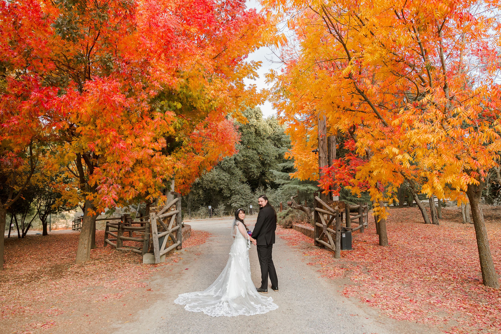 Joline & Andrew ~ Milagro Winery Wedding by Willmus Weddings