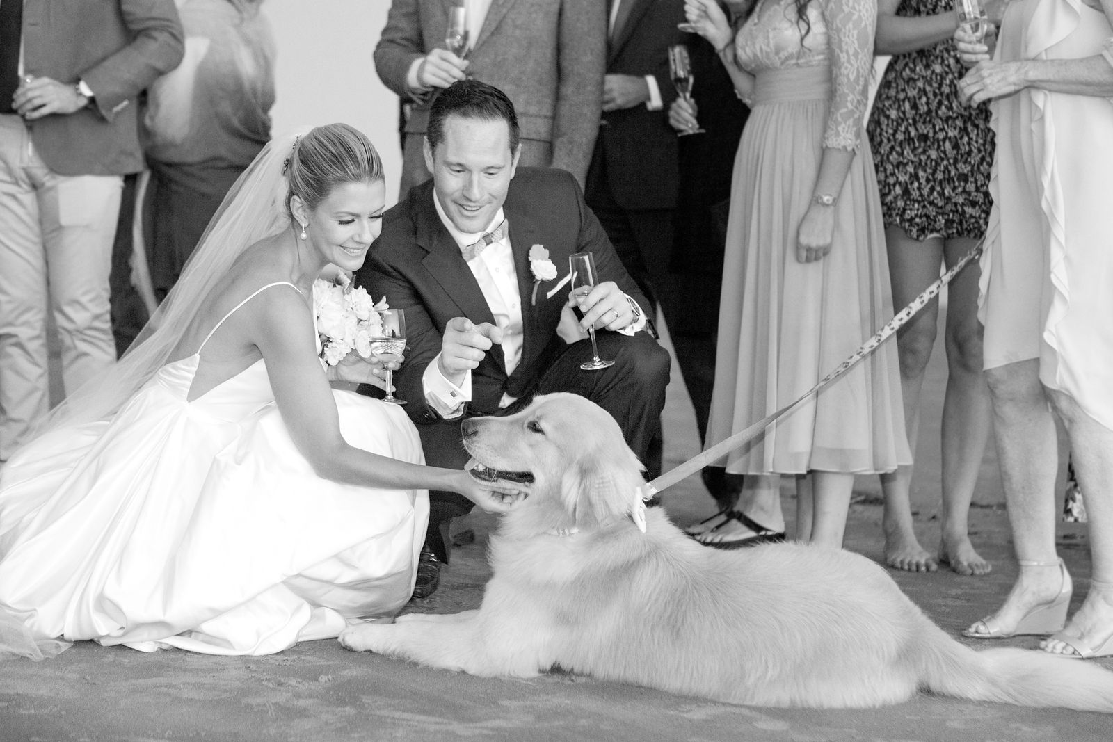 Sarah & Colin by Kate Thornton