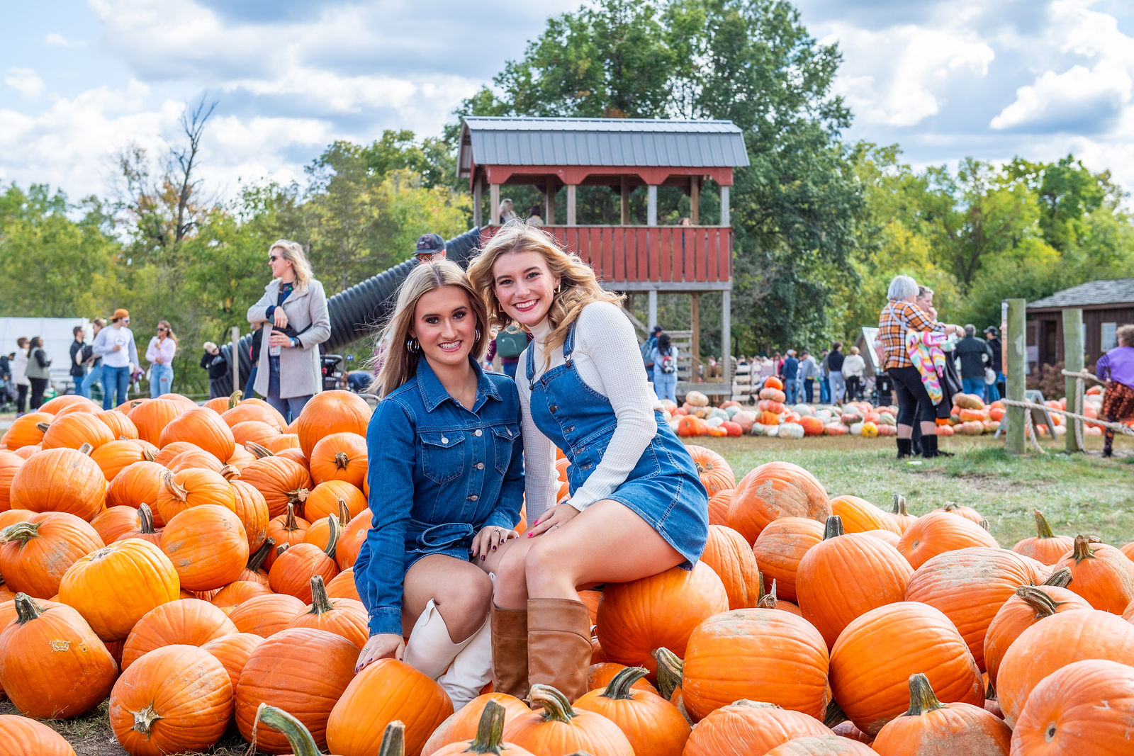 Taylor D pumpkin patch by Four Js Photography