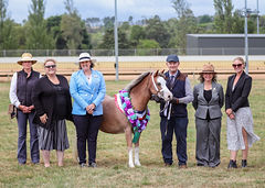 Warragul Show 2024 by Showcation Photography