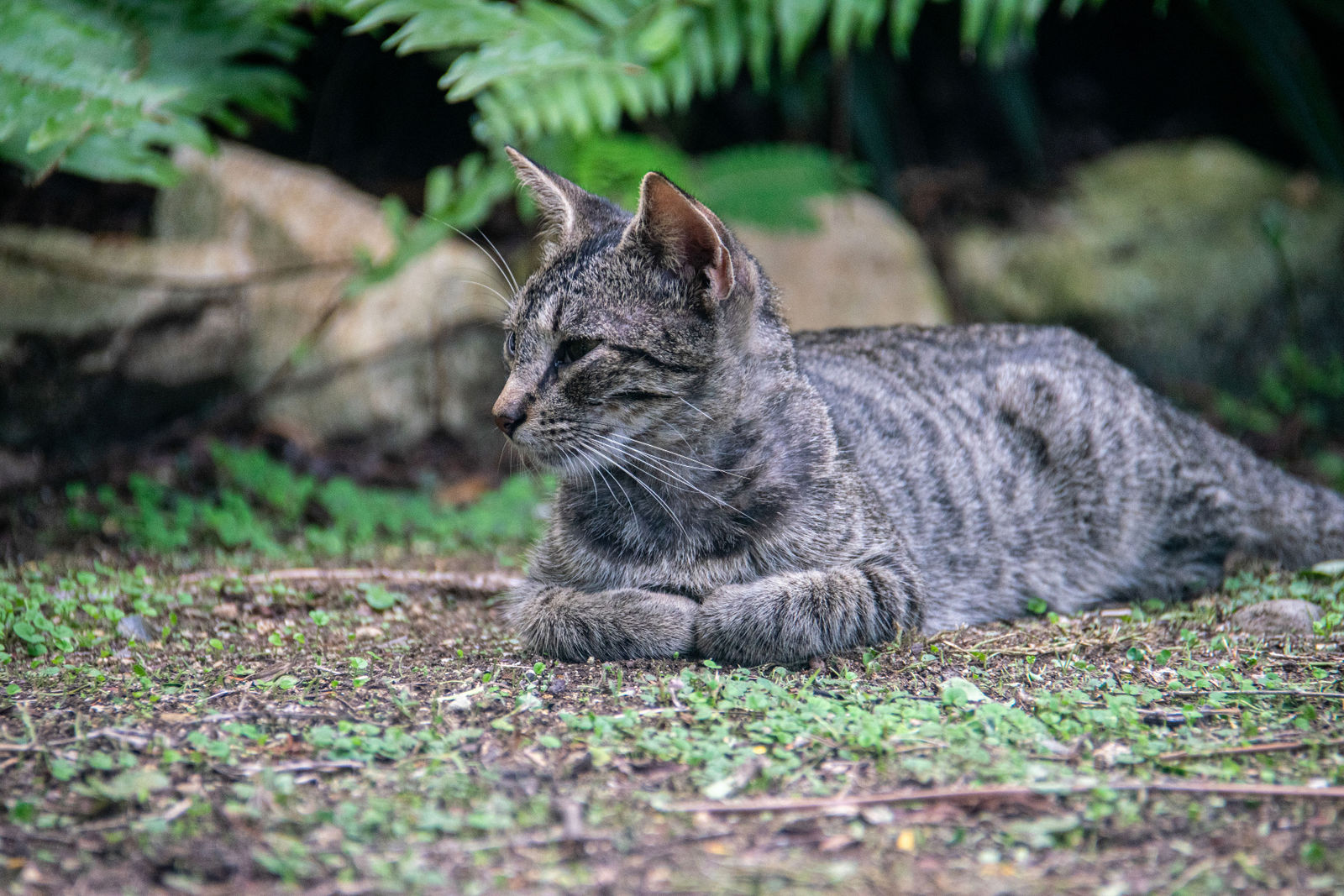 Portfolio by First Dawn Printing and Photo