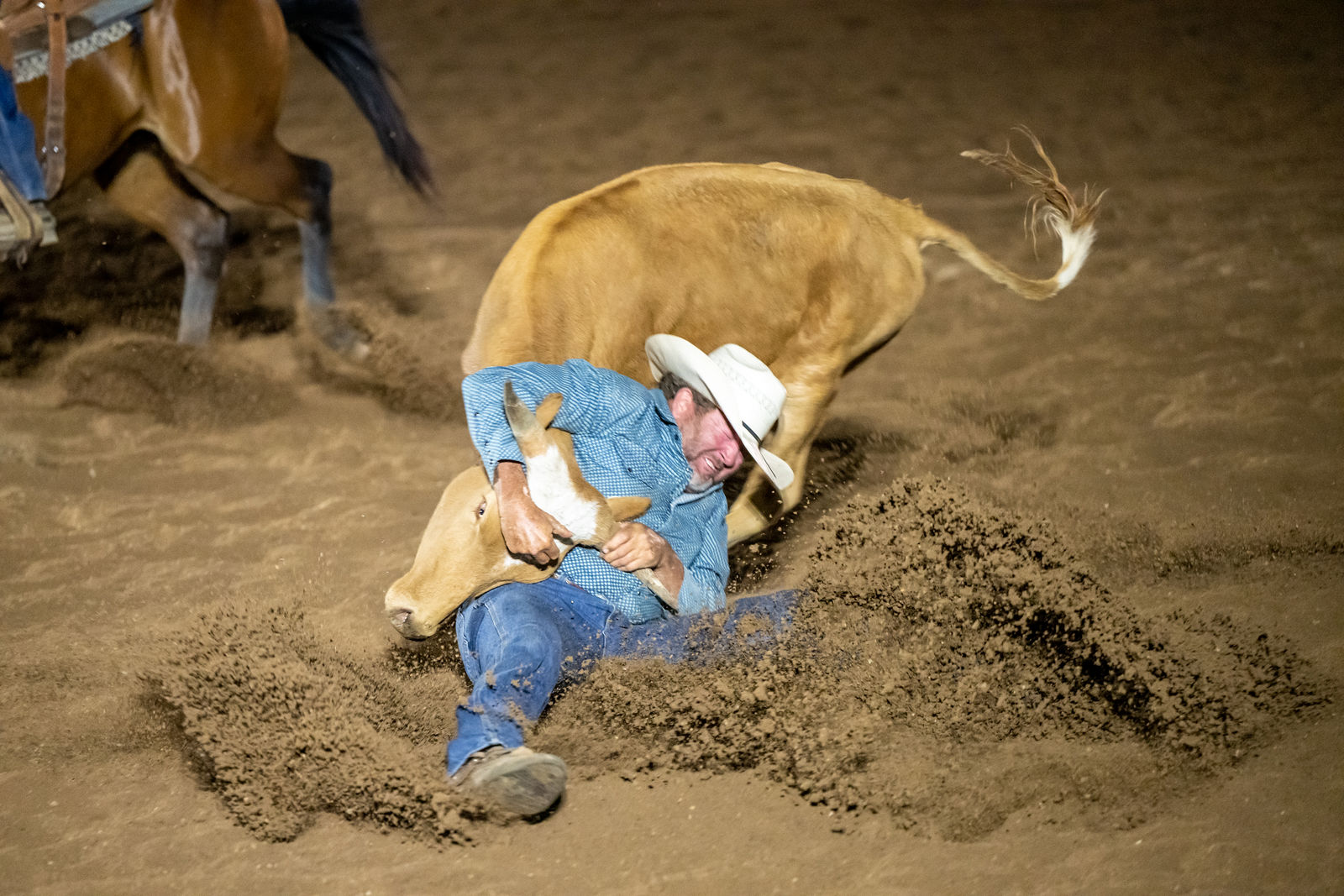 Rope & Tie, Steer undecorating, team roping, Breakaway roping by Col ...