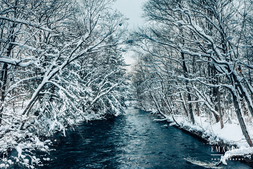 Prints For Sale by Emanleyphotography