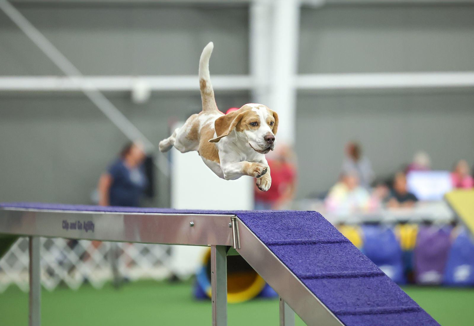 Events - Wander into Focus