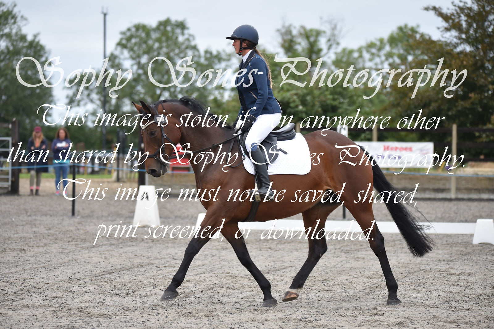 Dressage Championship at Grey Fern Park by Sophy Sones Photography