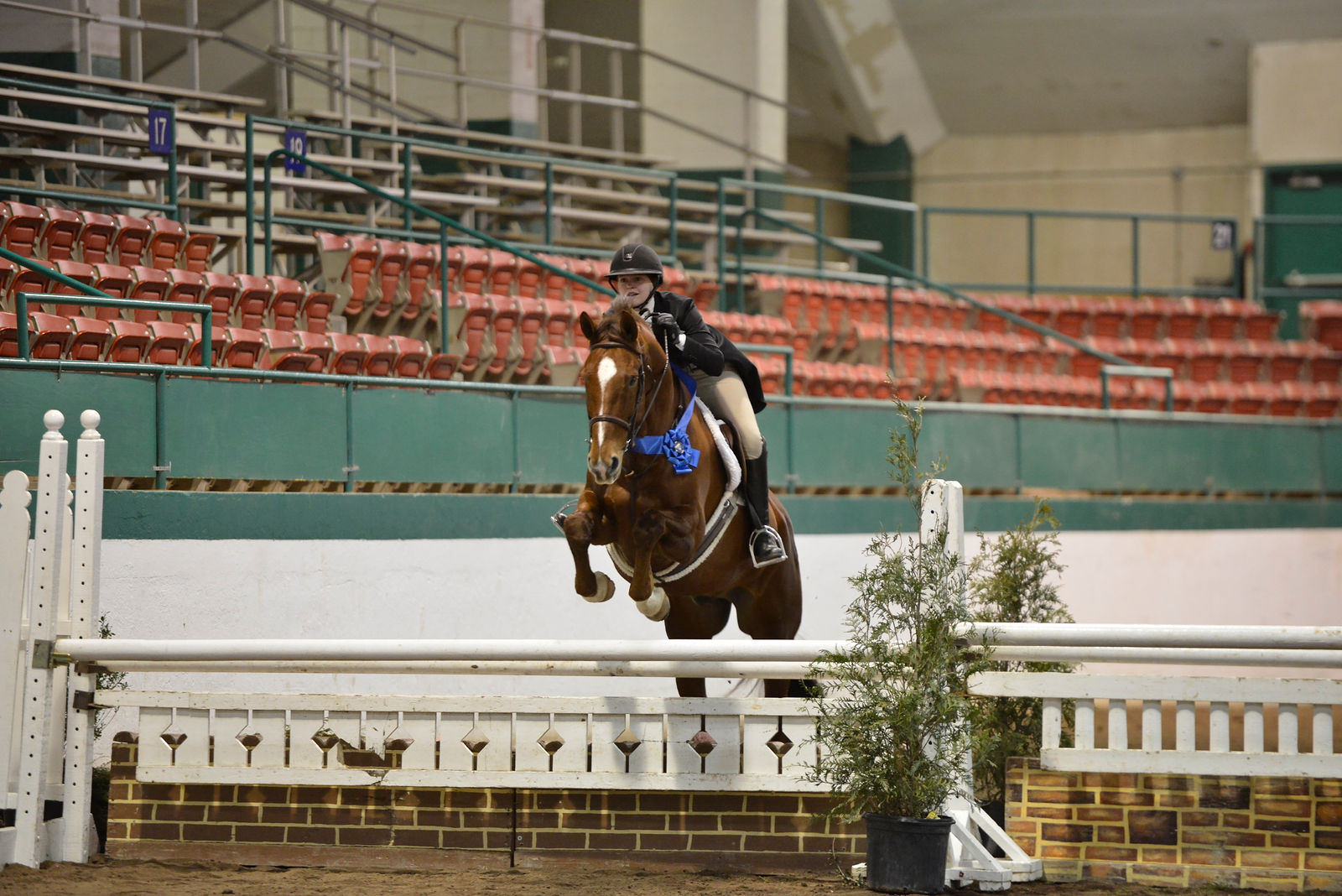 Triangle Farms Winter Indoors 1 "C" by Kirsten Hannah Photography LLC