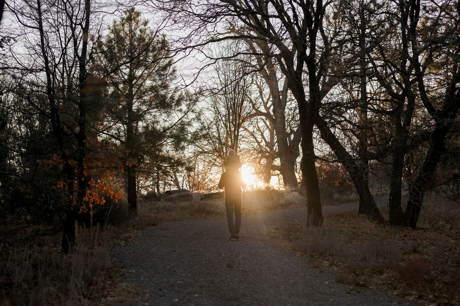 Mount Laguna ~ 2021 edition by Willmus Weddings