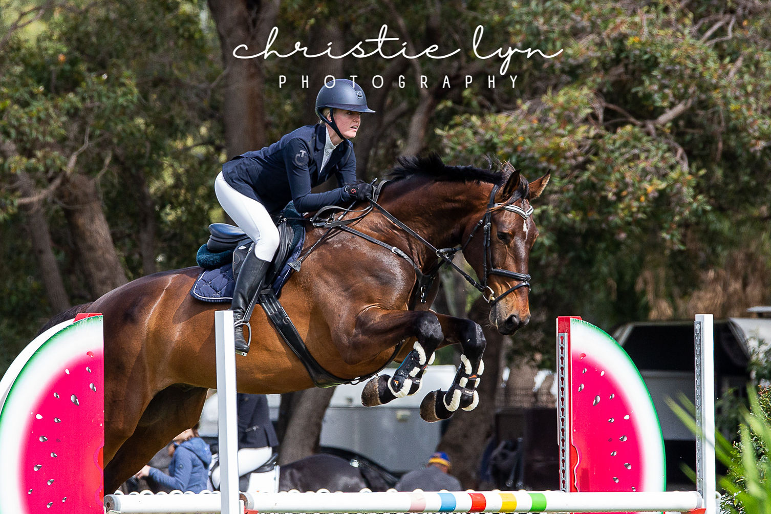 STATE SHOW JUMPING - ARENA 2 (FRIDAY ONLY) by Christie Lyn Photography