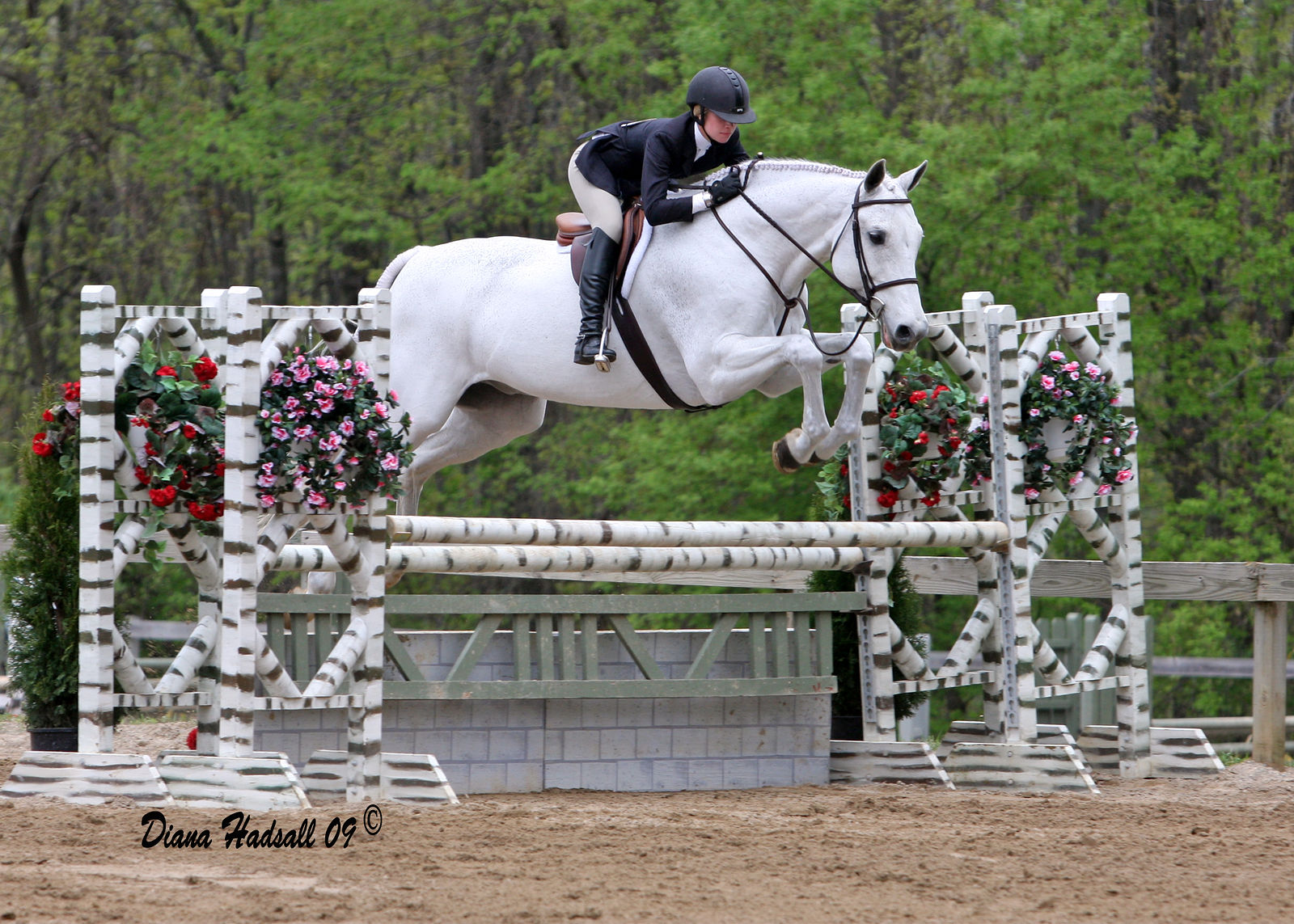 HJAM 2009 by Diana Hadsall Photography